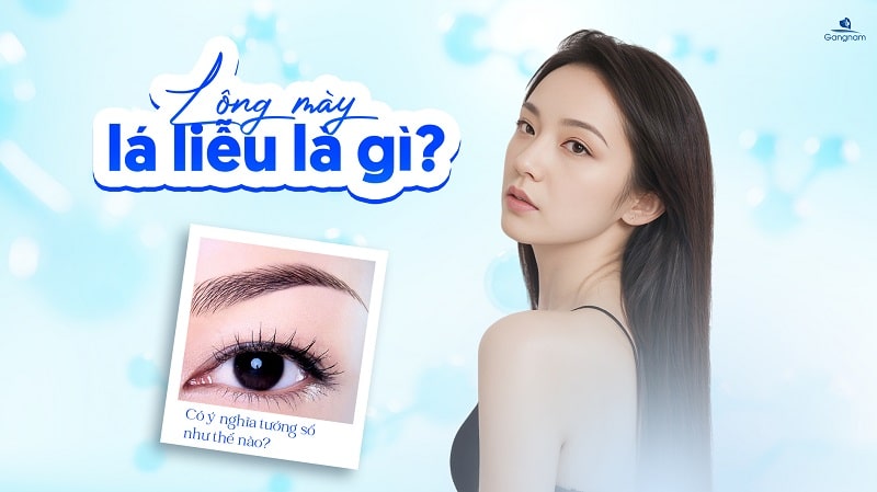 Lông mày lá liễu là gì? Có ý nghĩa tướng số như thế nào?