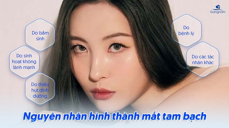 Mắt tam bạch là gì? Có ý nghĩa tướng số như thế nào?